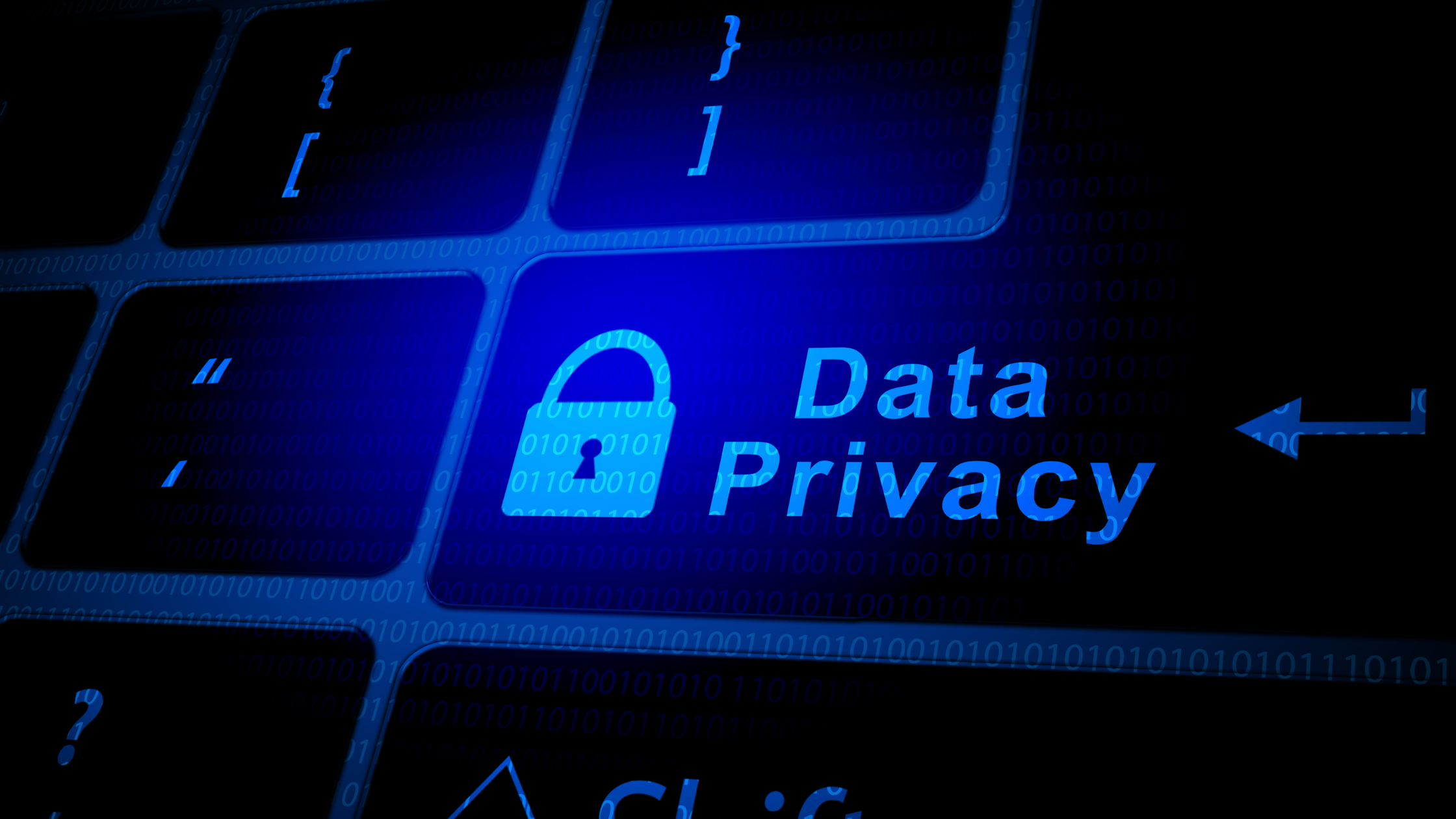 Navigating Data Protection and Privacy Compliance in Immigration Law ...